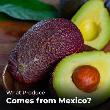 A Guide To Shipping Tomatoes From Mexico | Mexico Cross Border Freight